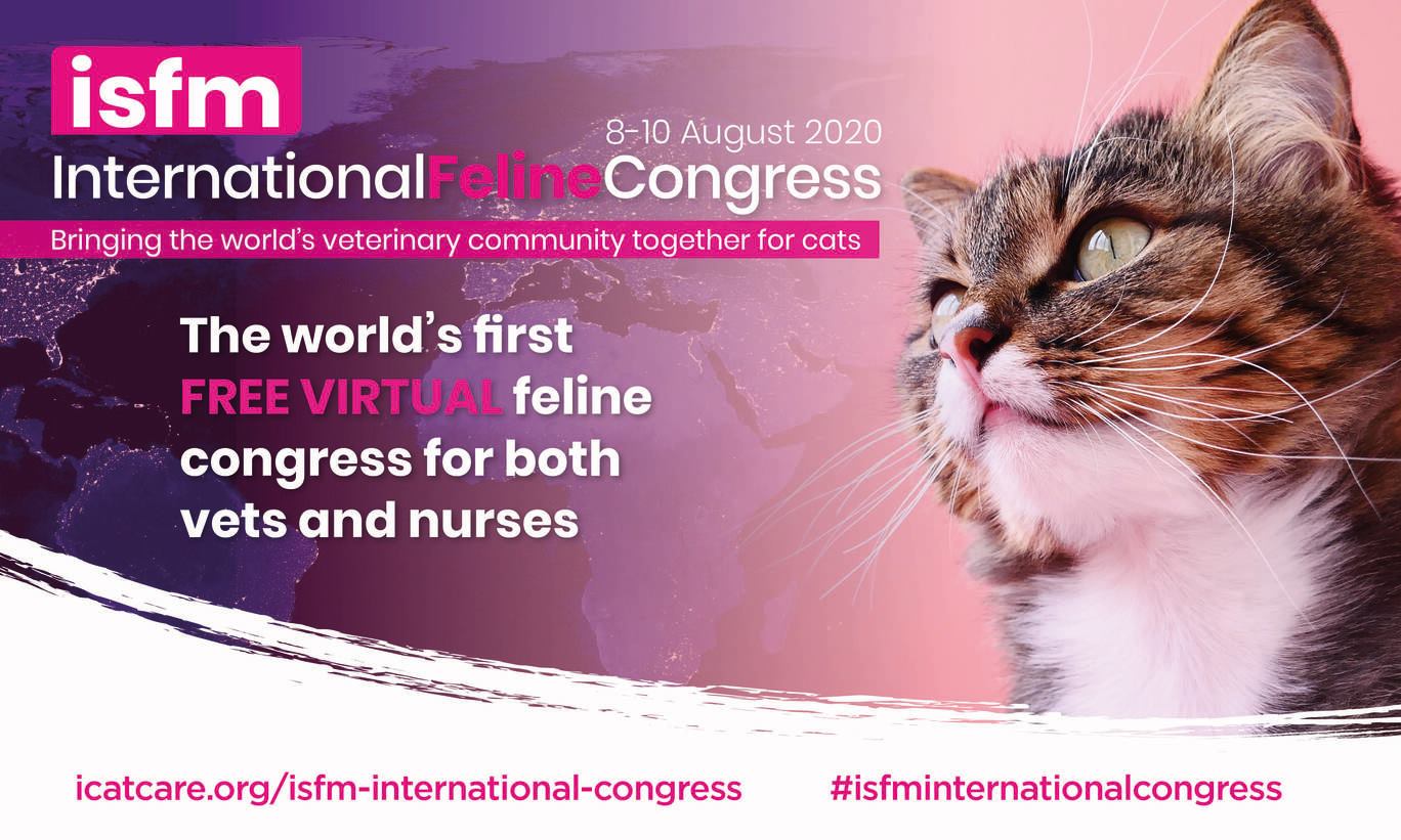 Veja todos os conteúdos do ISFM International Feline Congress – cats ...