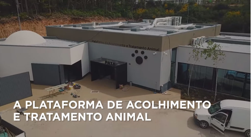 PATA acolhe os cães e gatos de V. N. Gaia – cats-ptmagazine