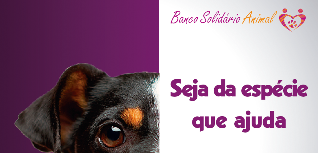 Em outubro há 4 campanhas do Banco Solidário Animal – cats-ptmagazine